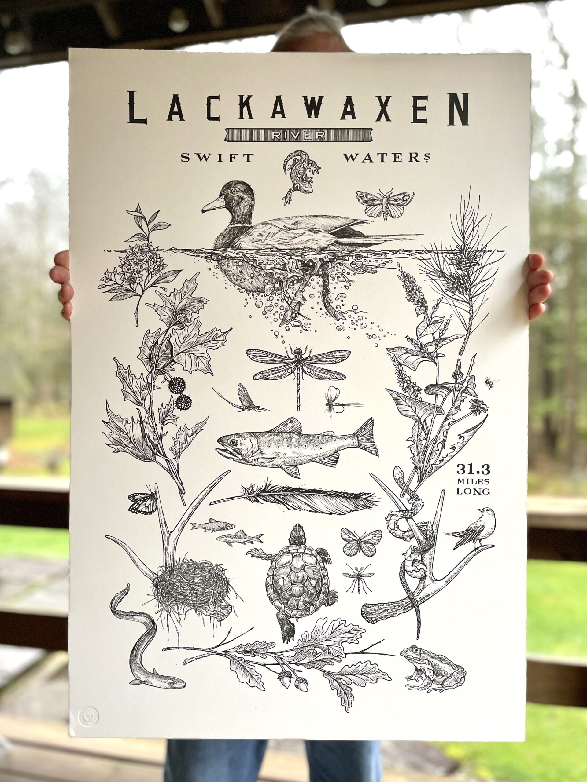 New Poster Features Lackawaxen River Inhabitants - Lackawaxen River Trails